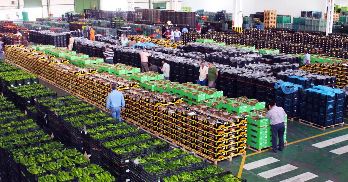 Agroponiente apuesta por ERPagro